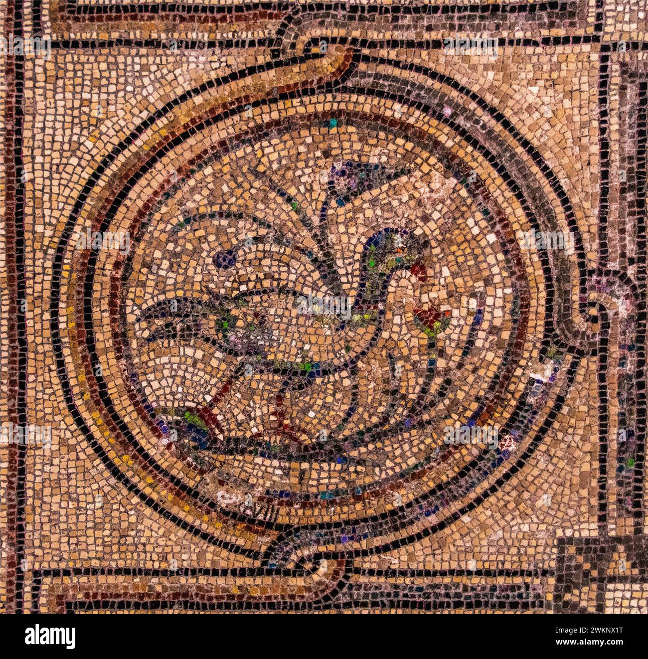 Floor mosaic of the Basilica di Santa Eufemia, Citta vecchia, island of ...