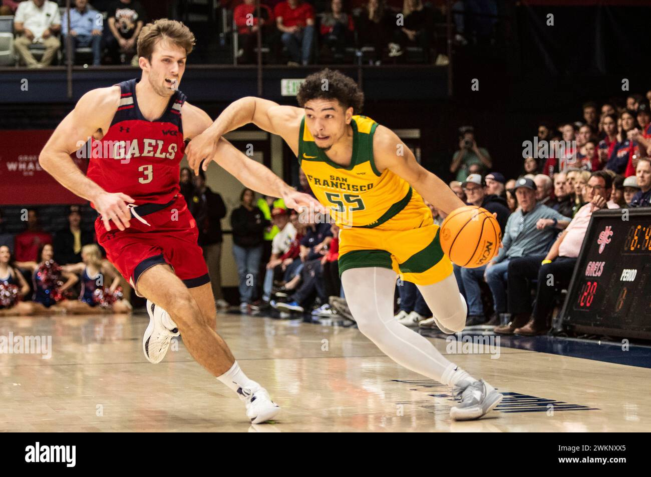 2024 0179 jpg hi-res stock photography and images - Alamy