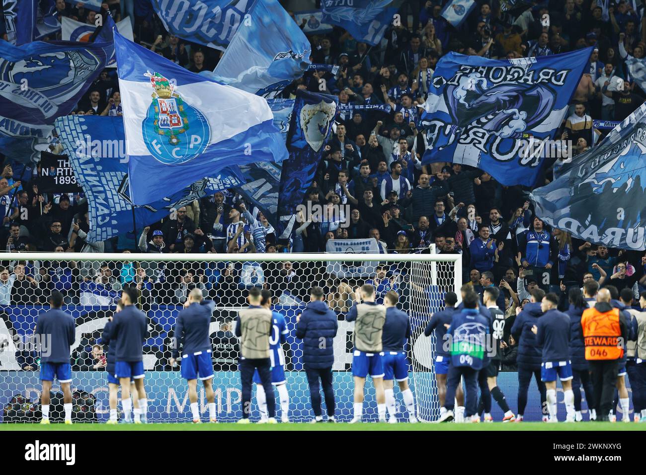 Estadio do dragao fan hi-res stock photography and images - Alamy