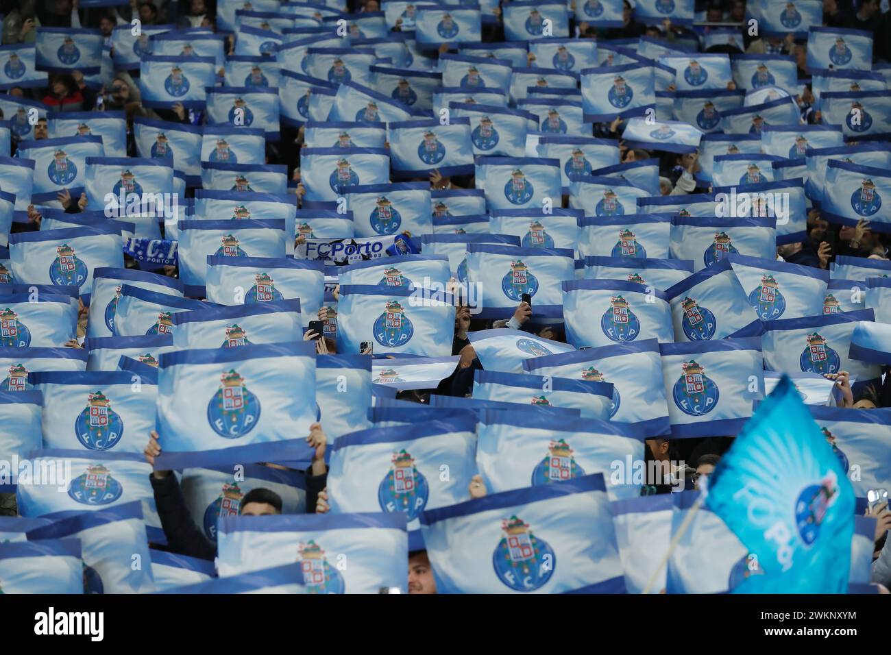 Estadio do dragao fan hi-res stock photography and images - Alamy