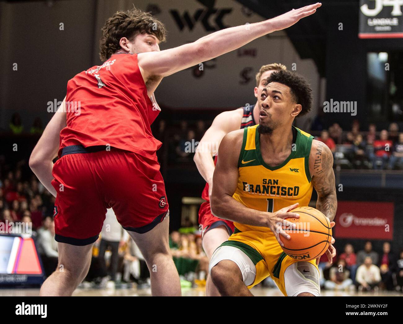 2024 0145 jpg hi-res stock photography and images - Alamy