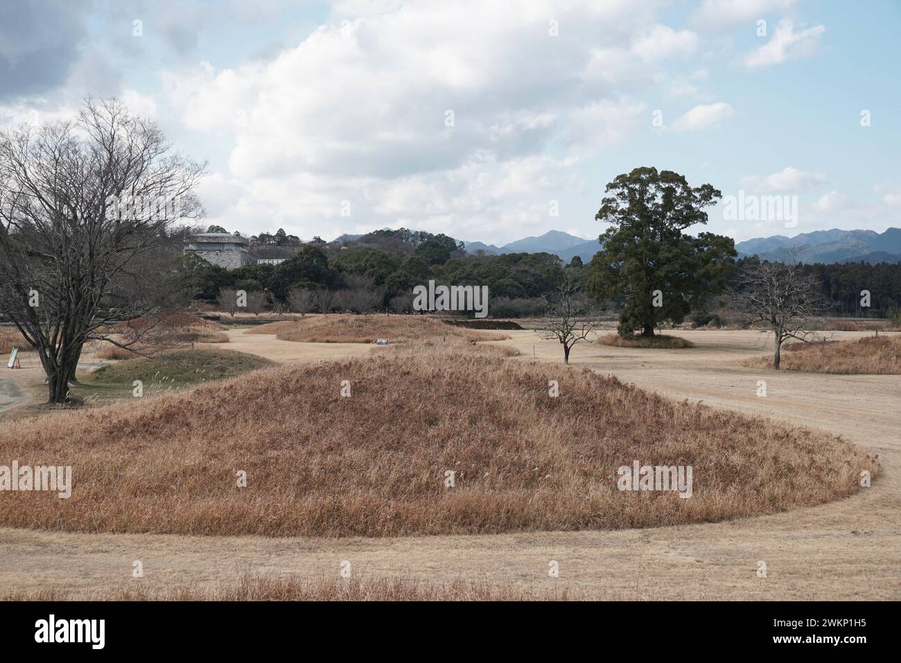 A picture shows Kofun, ancient burial mounds, of Saitobaru Burial ...