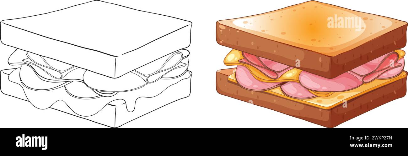 Vector illustration of sandwich ingredients and final product Stock ...