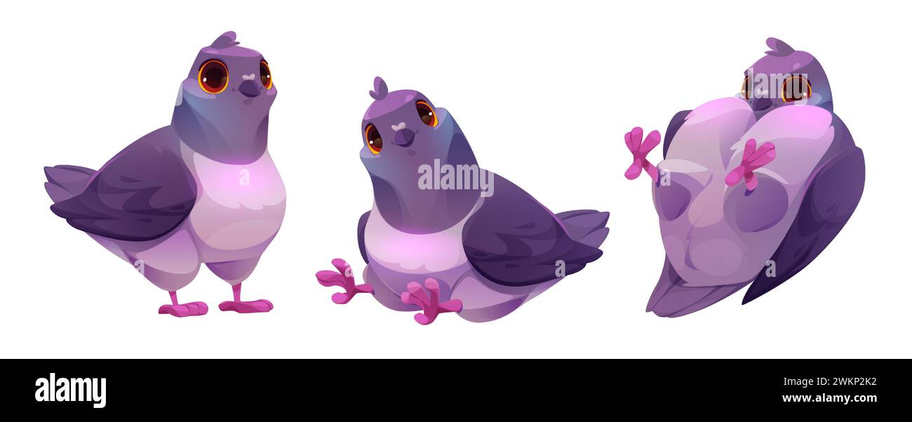 Pigeon sitting down Stock Vector Images - Alamy