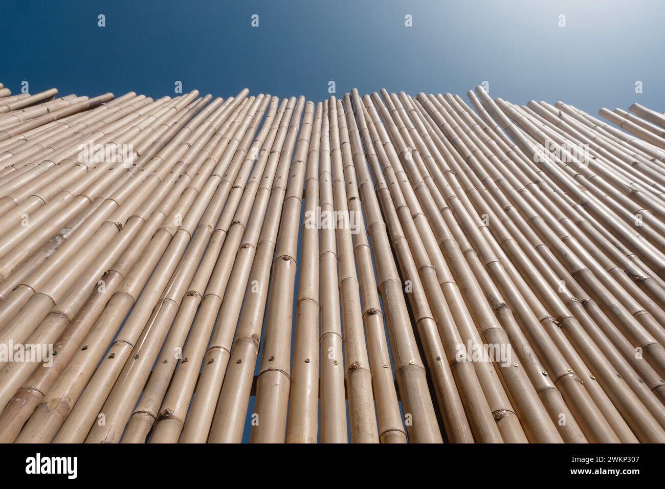 bamboo fence or wall texture background for interior or exterior design ...
