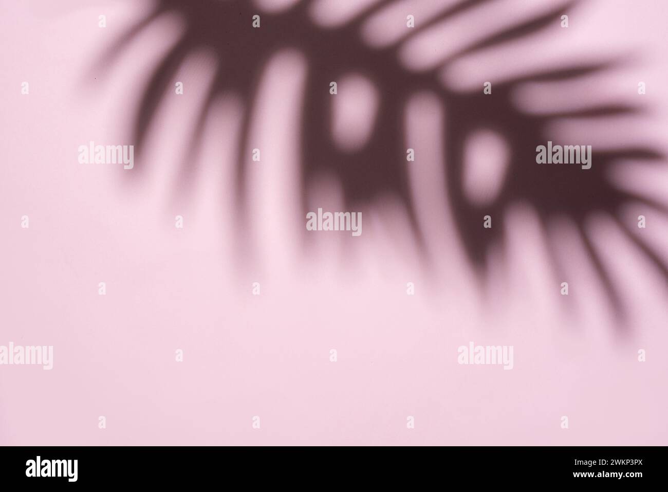 This image captures a dreamy, abstract pattern formed by the blurred ...