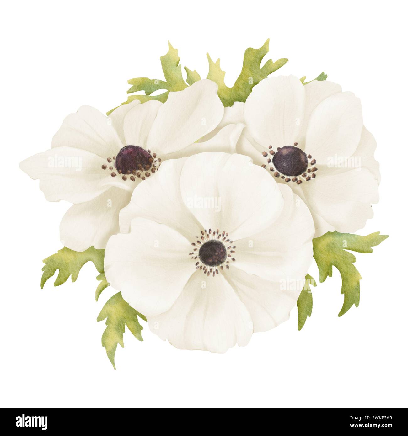 Vibrant depiction plant showcasing hi-res stock photography and images ...