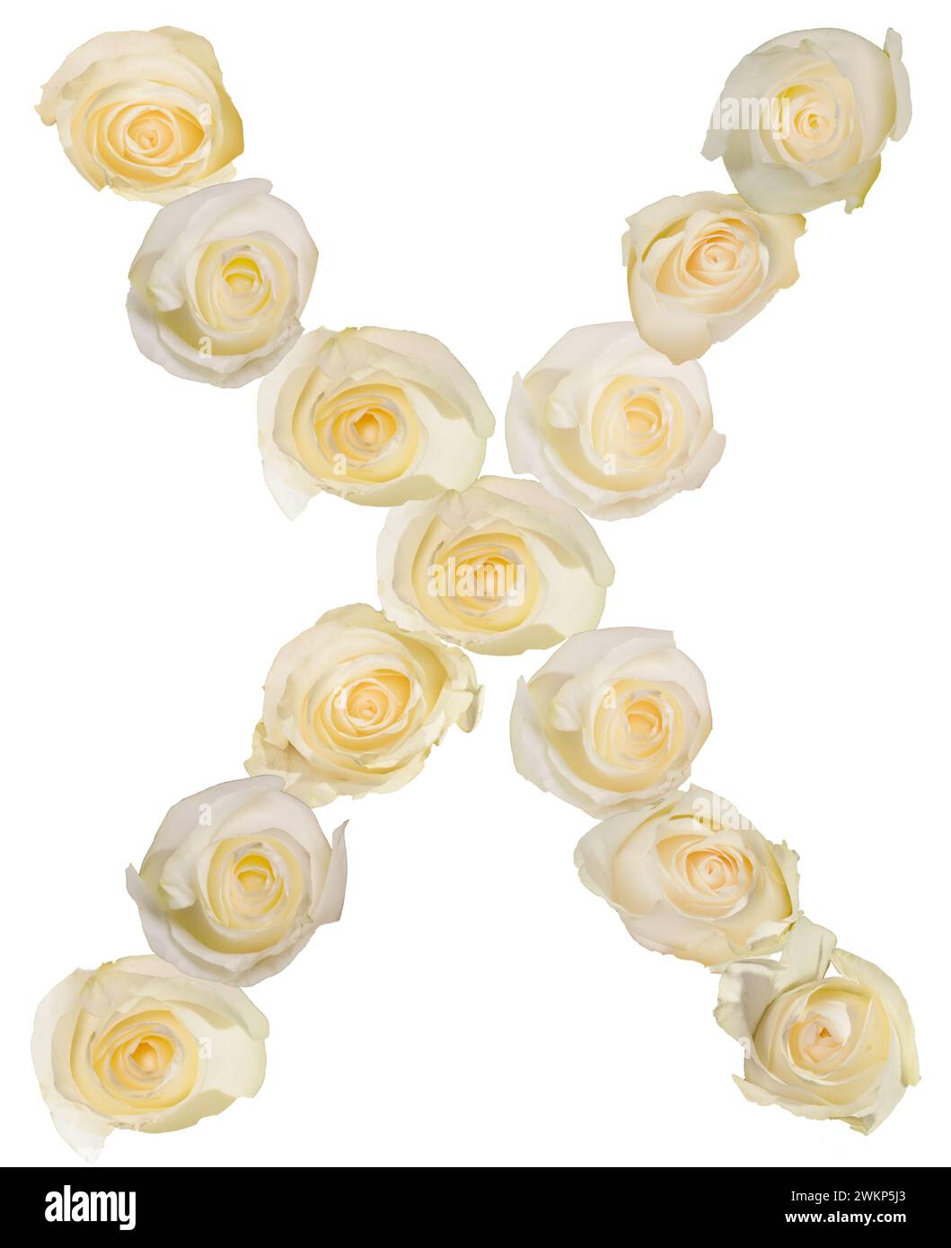 White roses employed to spelt letter X creating interesting and ...