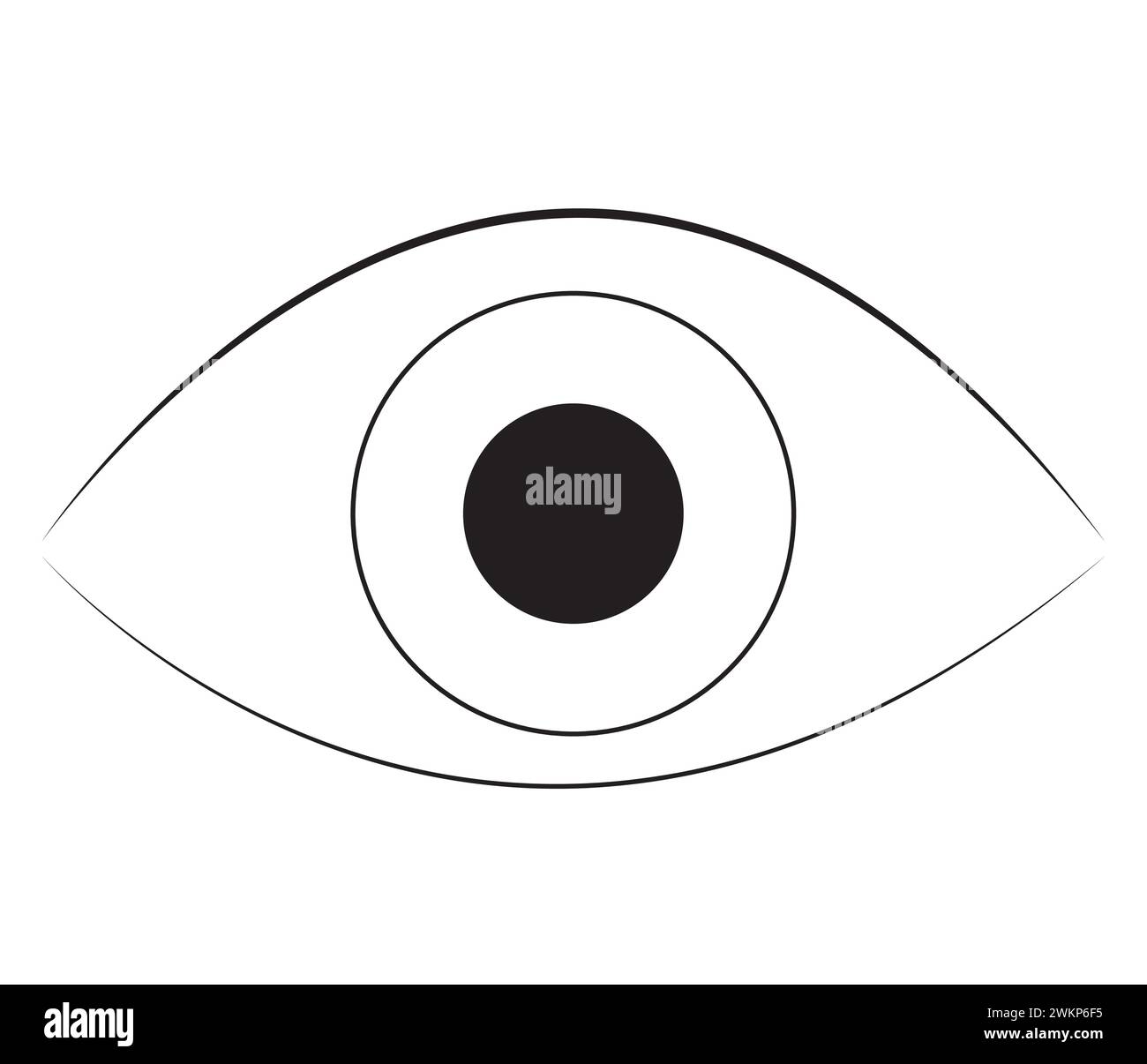 Human eye. Vector illustration isolated on white background Stock ...