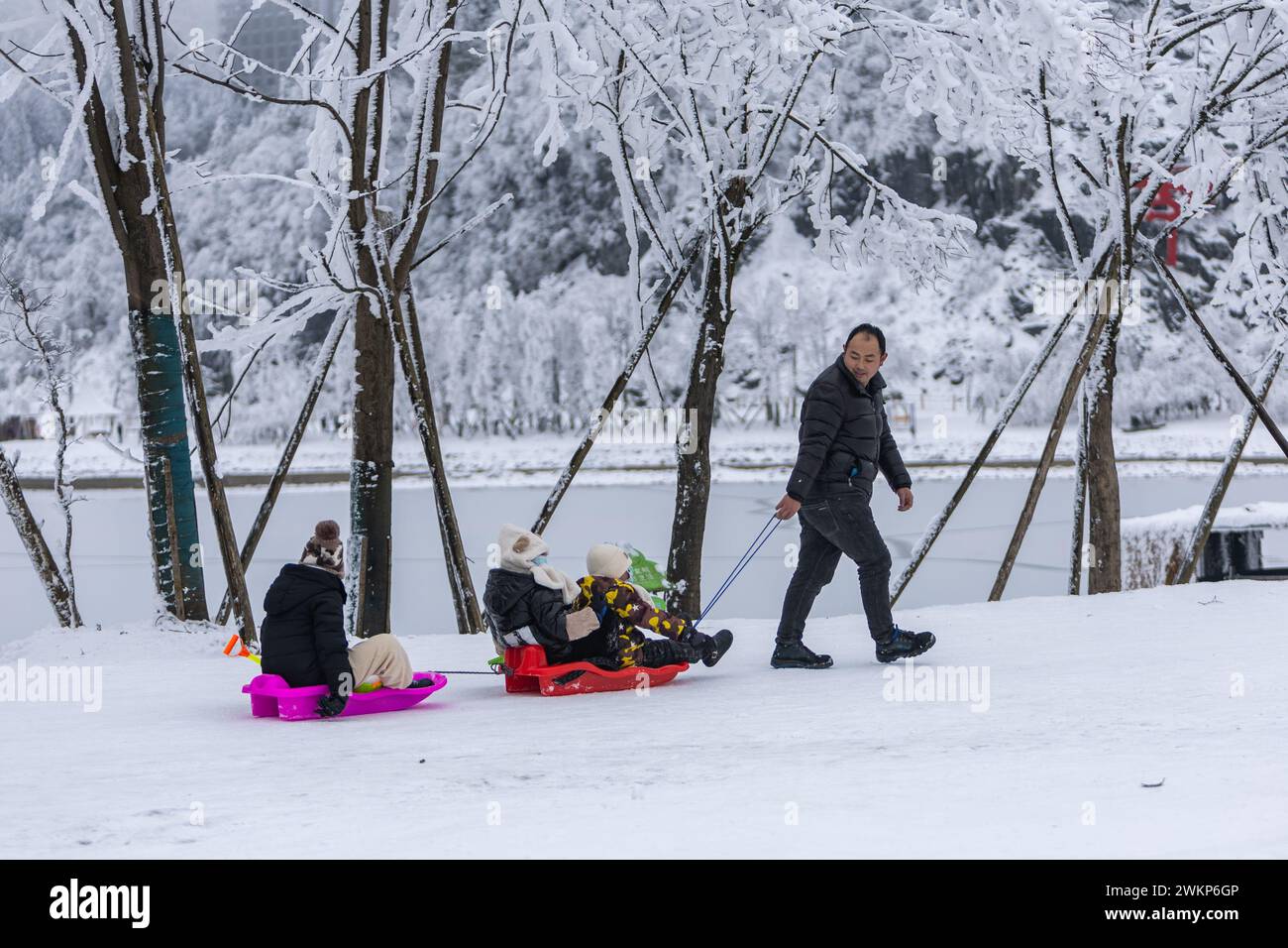 Chongqing, China's Chongqing Municipality. 25th Jan, 2024. Tourists ...