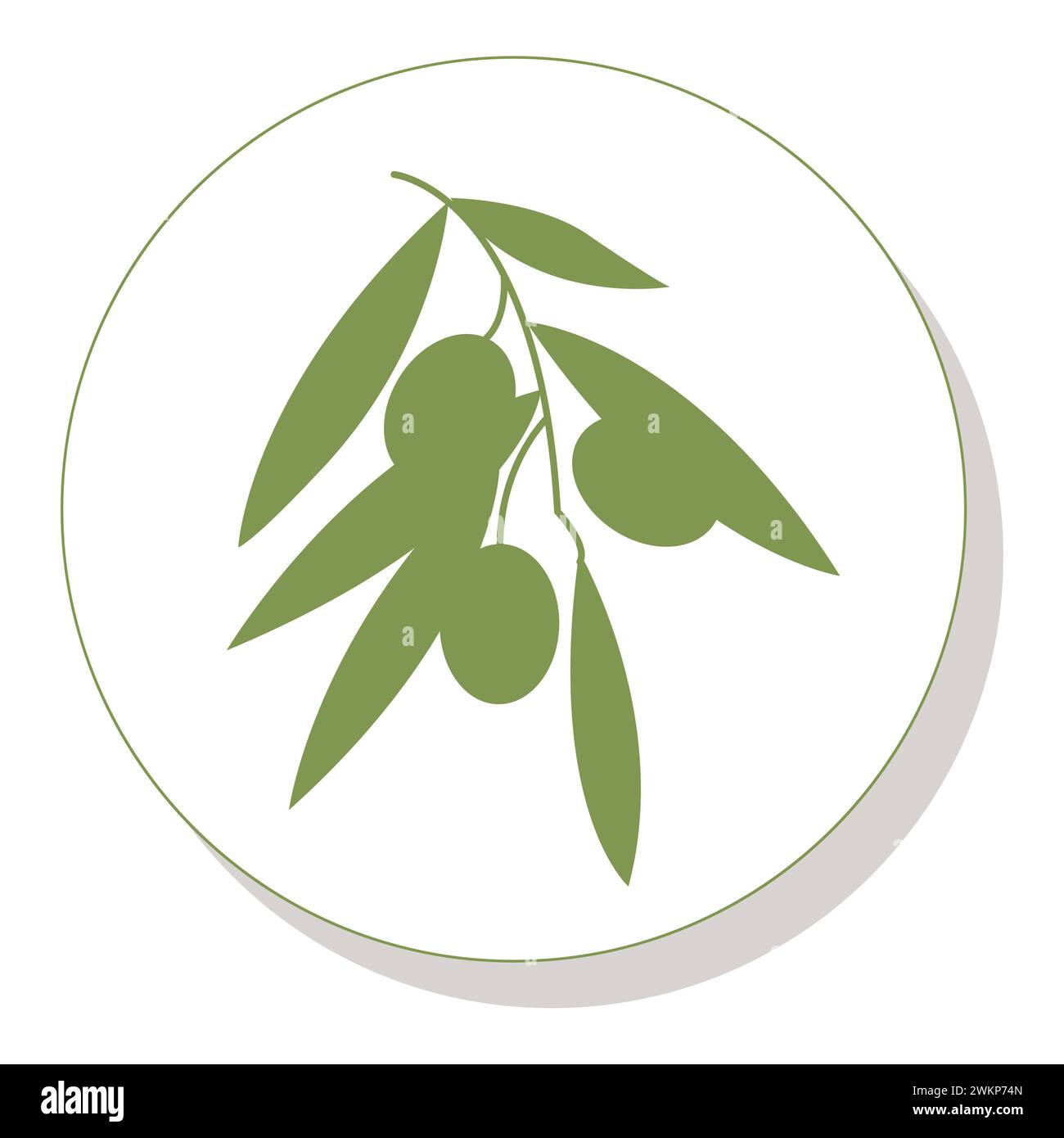 Olives on a branch. Simple logo for your design. Vector illustration ...