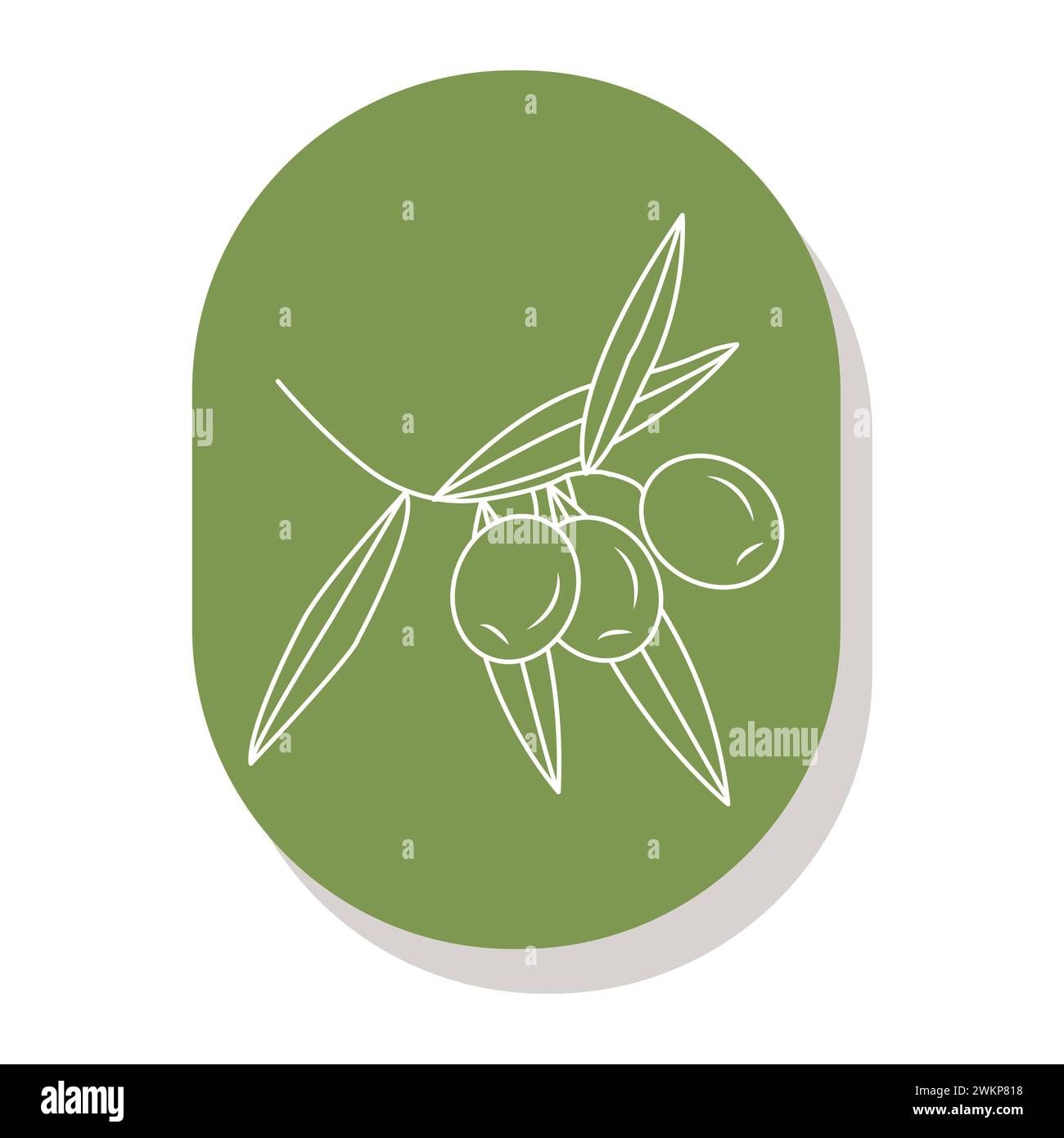 Olives on a branch. Simple logo for your design. Vector illustration ...