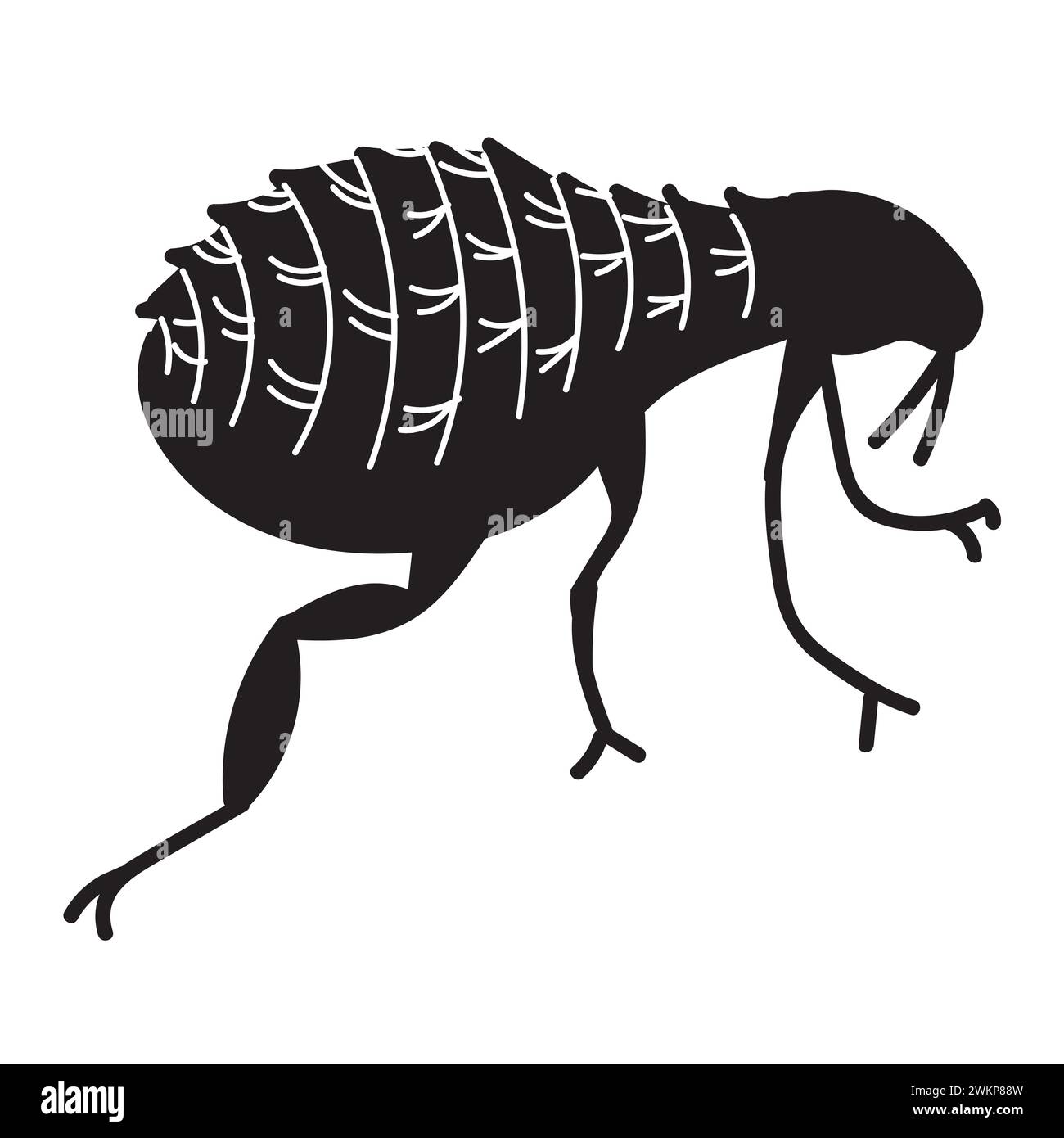 Flea silhouette. Parasite icon. Vector illustration isolated on white ...