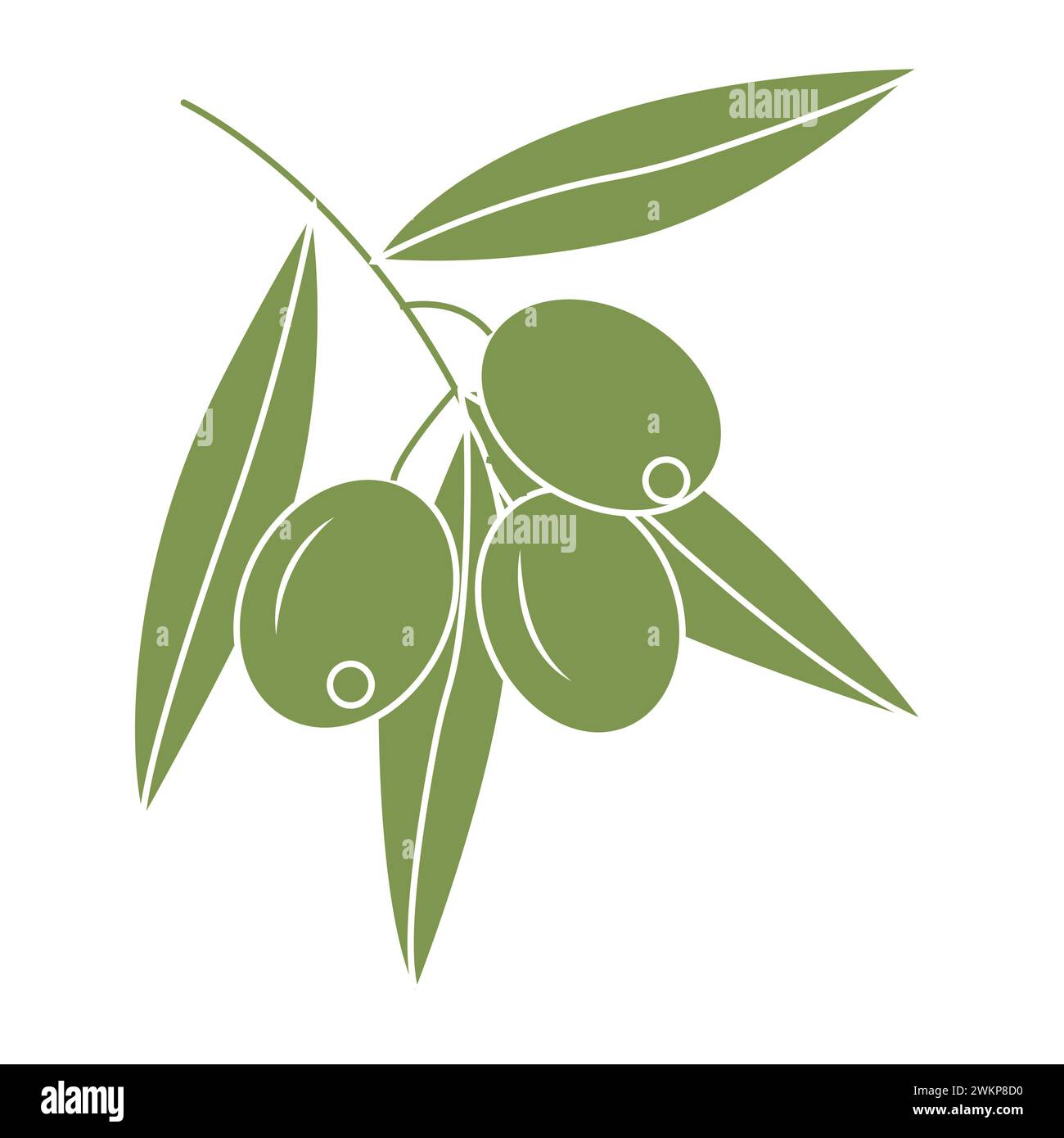 Olive branch illustration hi-res stock photography and images - Alamy