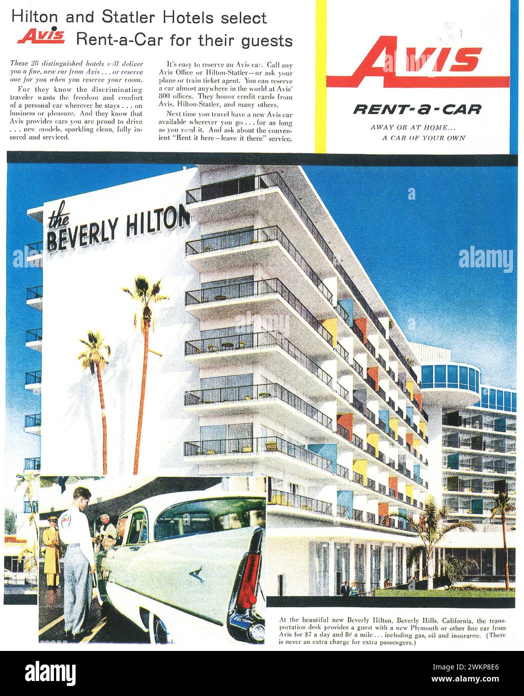 Avis ad hi-res stock photography and images - Alamy