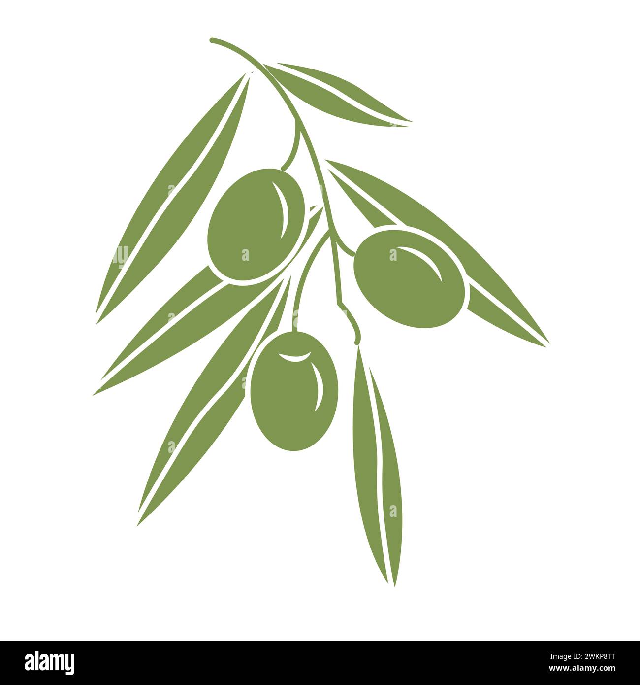Olive branch. Simple icon for your design. Vector illustration Stock ...