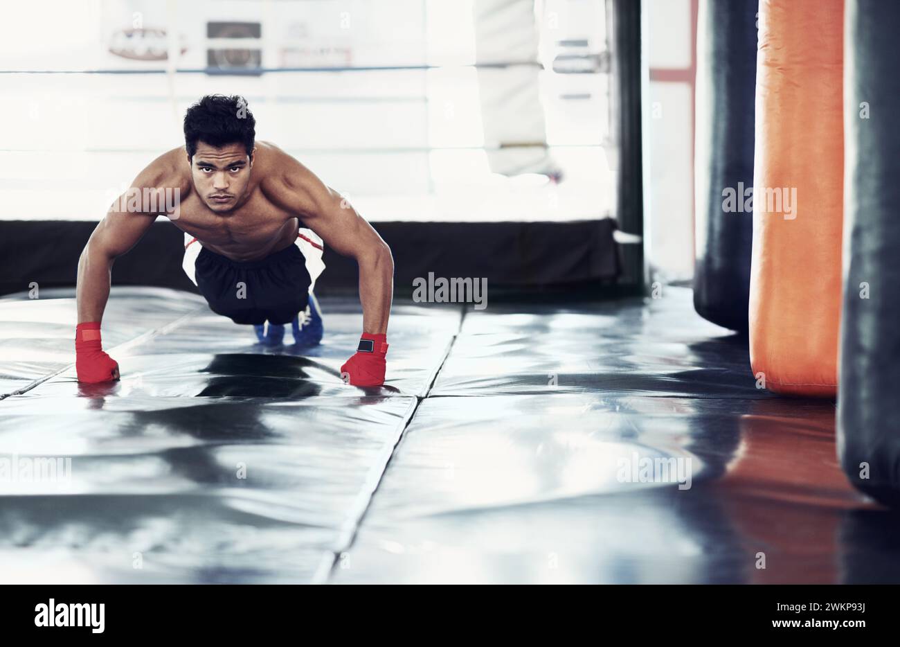 Athlete, portrait and push ups for sports in gym for training, wellness ...