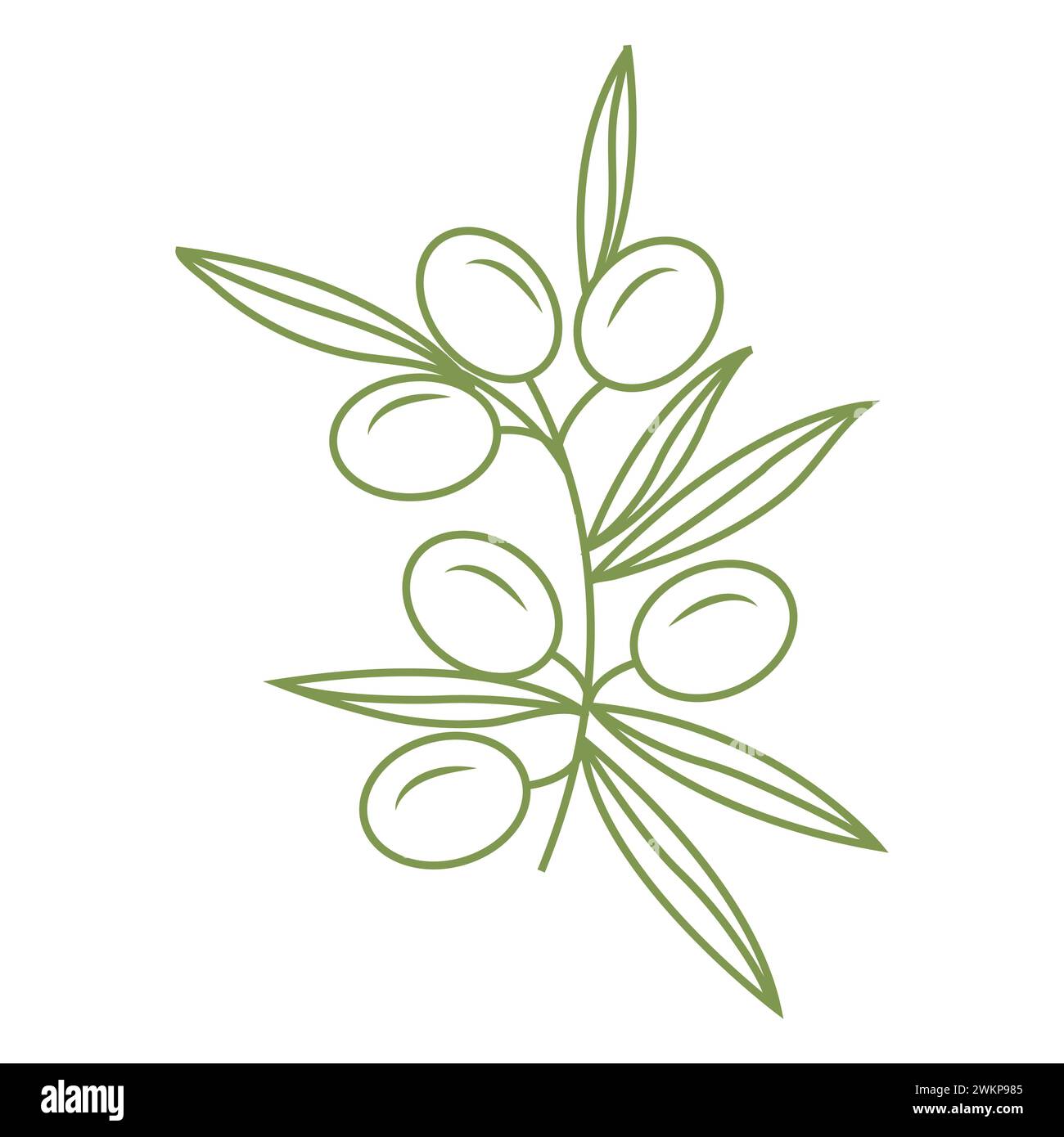 Olive branch. Simple icon in doodle style for your design. Vector ...
