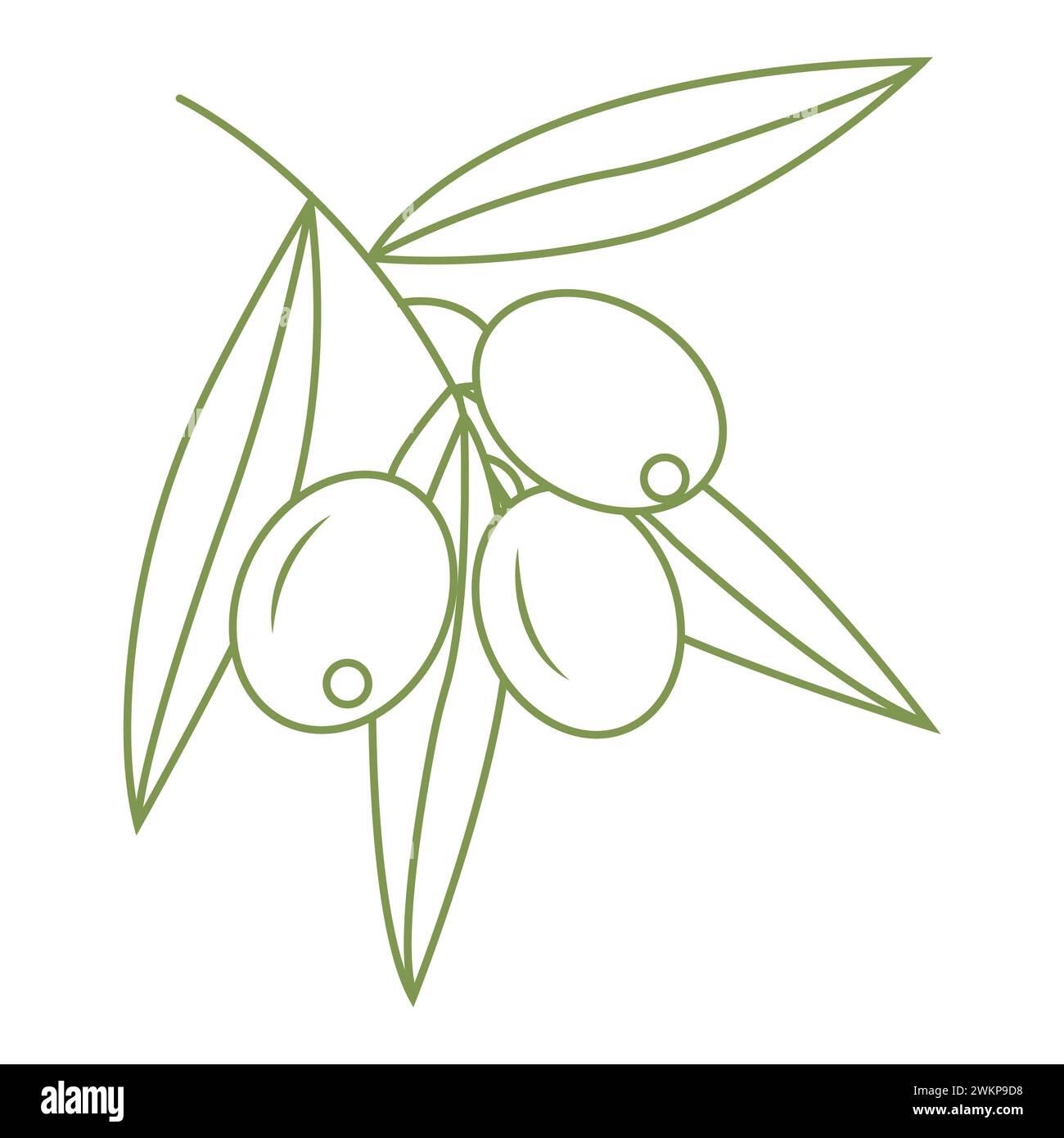 Olive branch. Simple icon in doodle style for your design. Vector ...