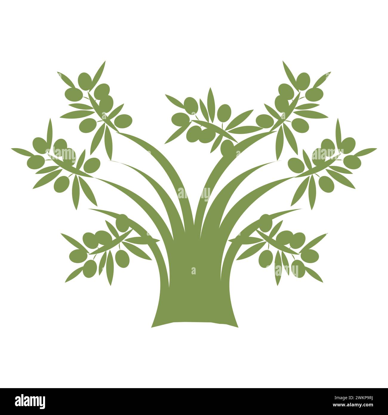 Olive tree with fruits and leaves. Simple icon. Vector illustration ...
