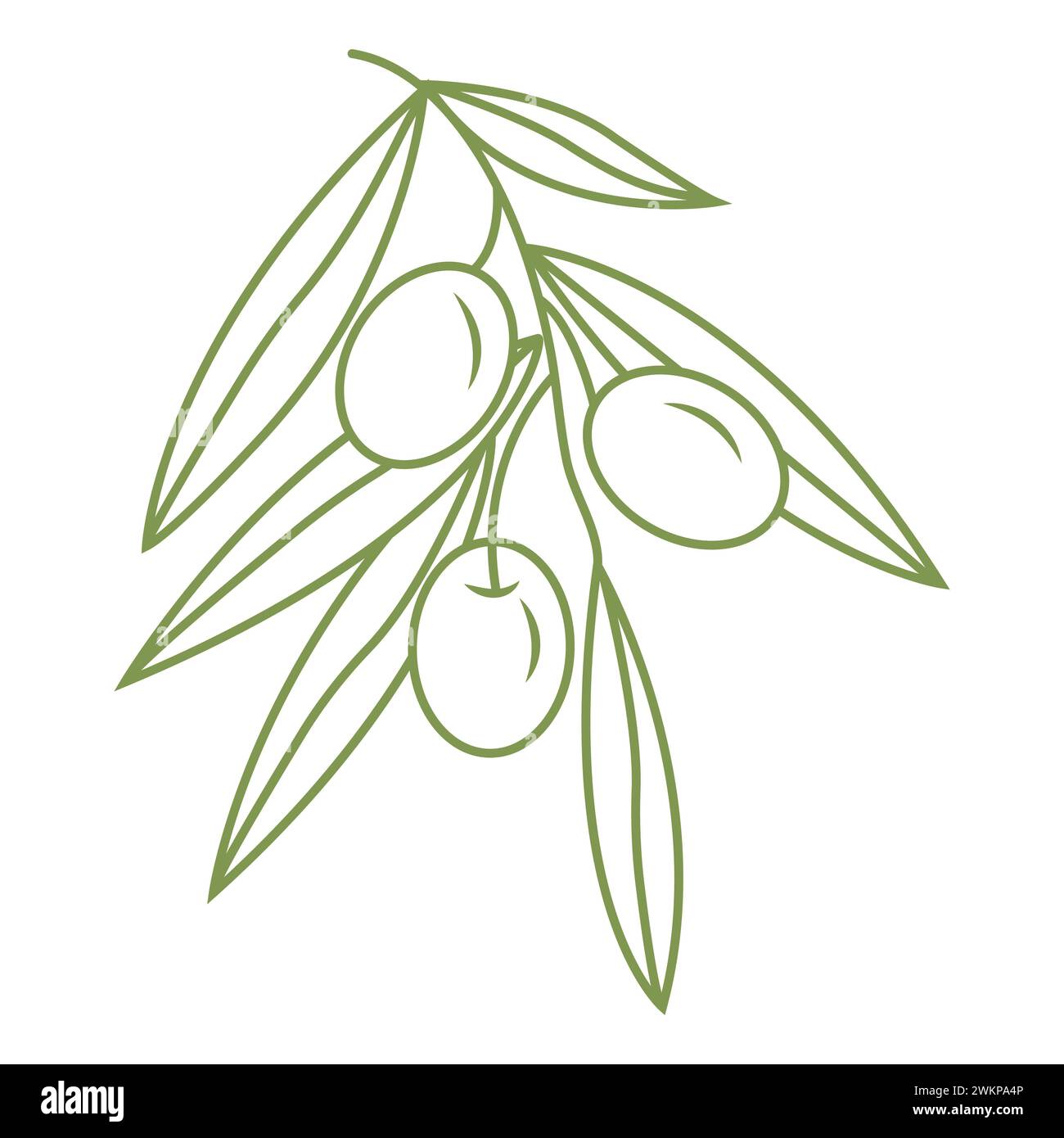 Olive branch. Simple icon in doodle style for your design. Vector ...