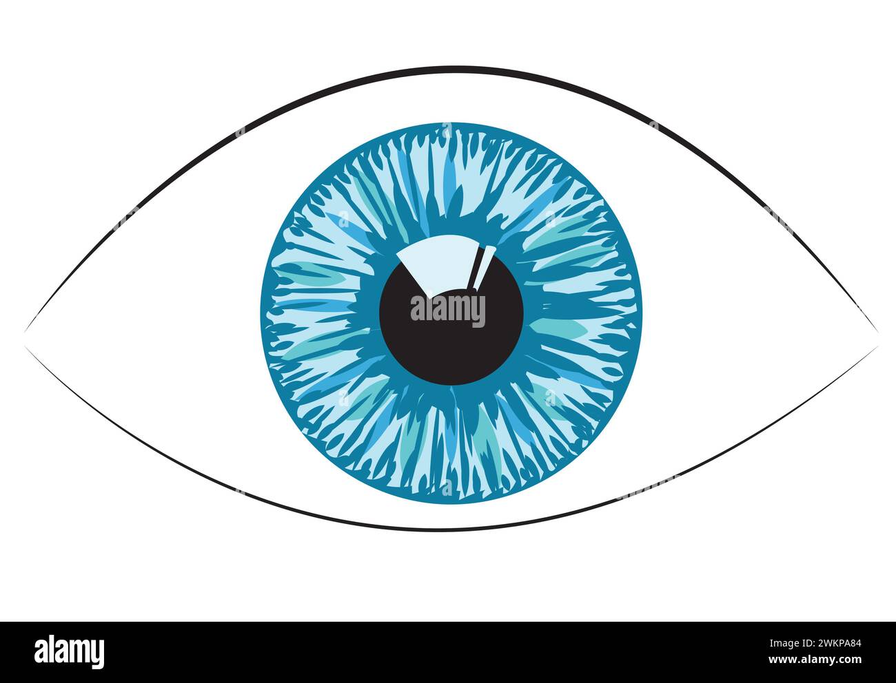 Human eye. Symbol. Vector illustration Stock Vector Image & Art - Alamy