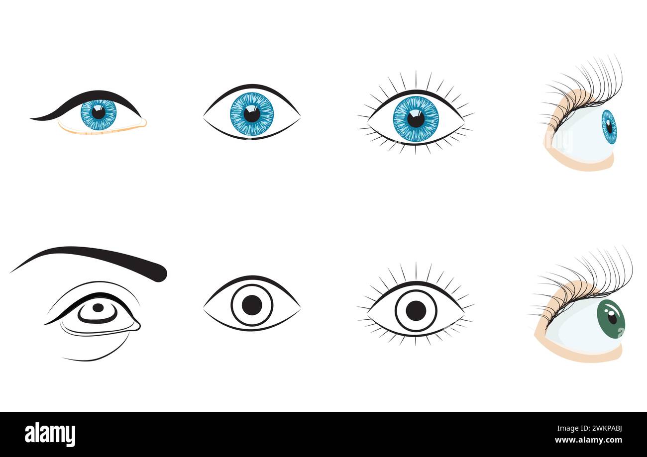 Human eye icons set. Vector illustration isolated on white background ...