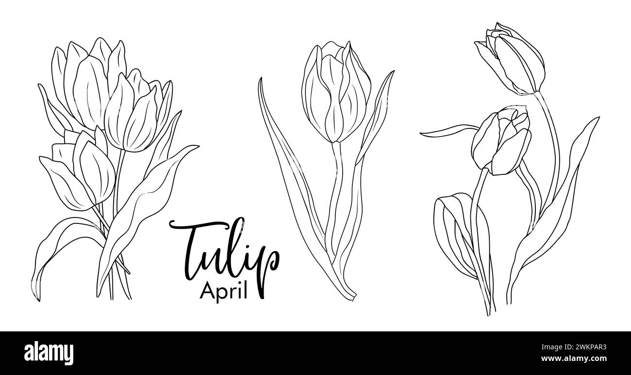 Flower drawings hi-res stock photography and images - Alamy