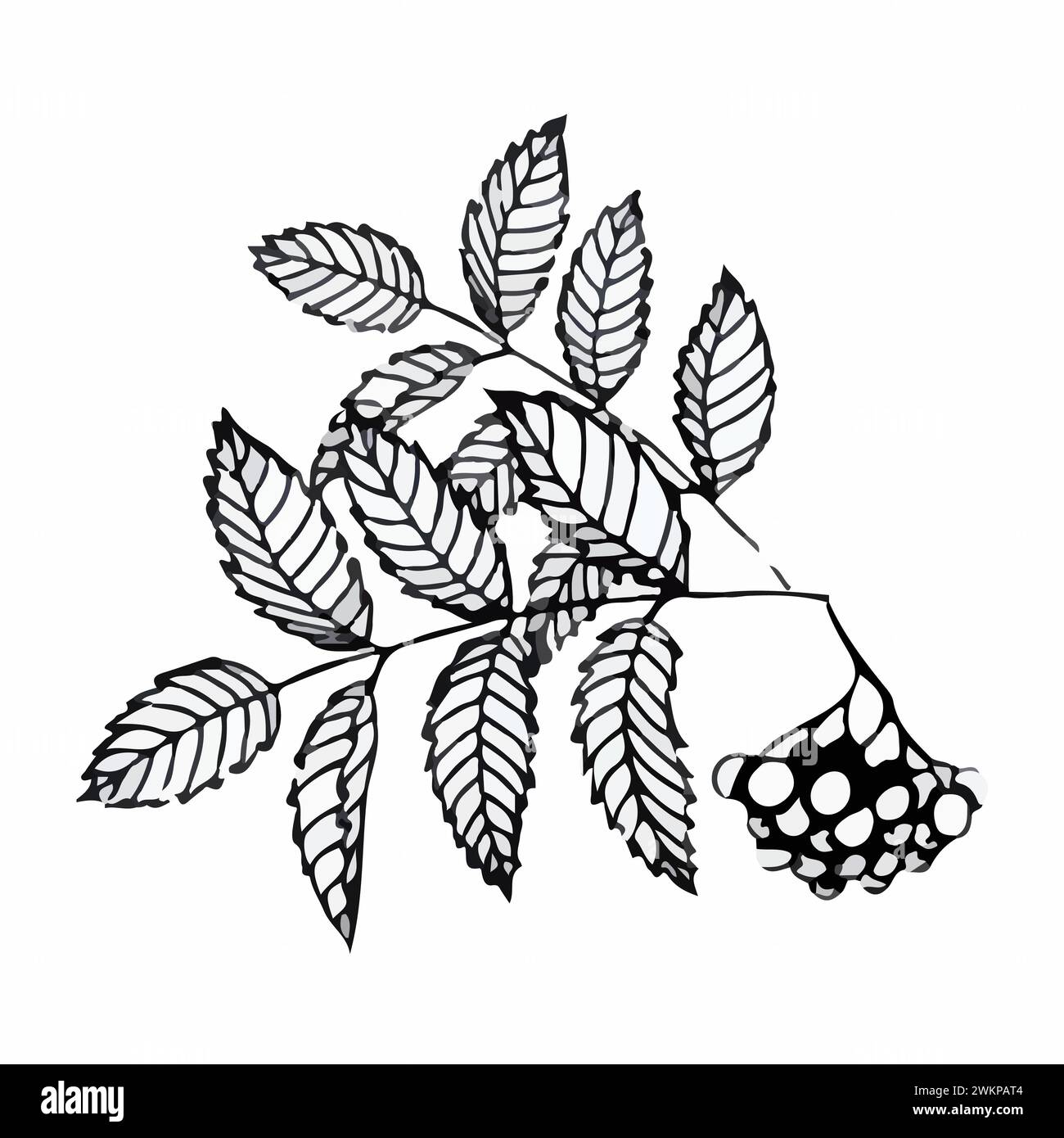 Hand-drawn composition of autumn leaves in doodle style. Vector ...