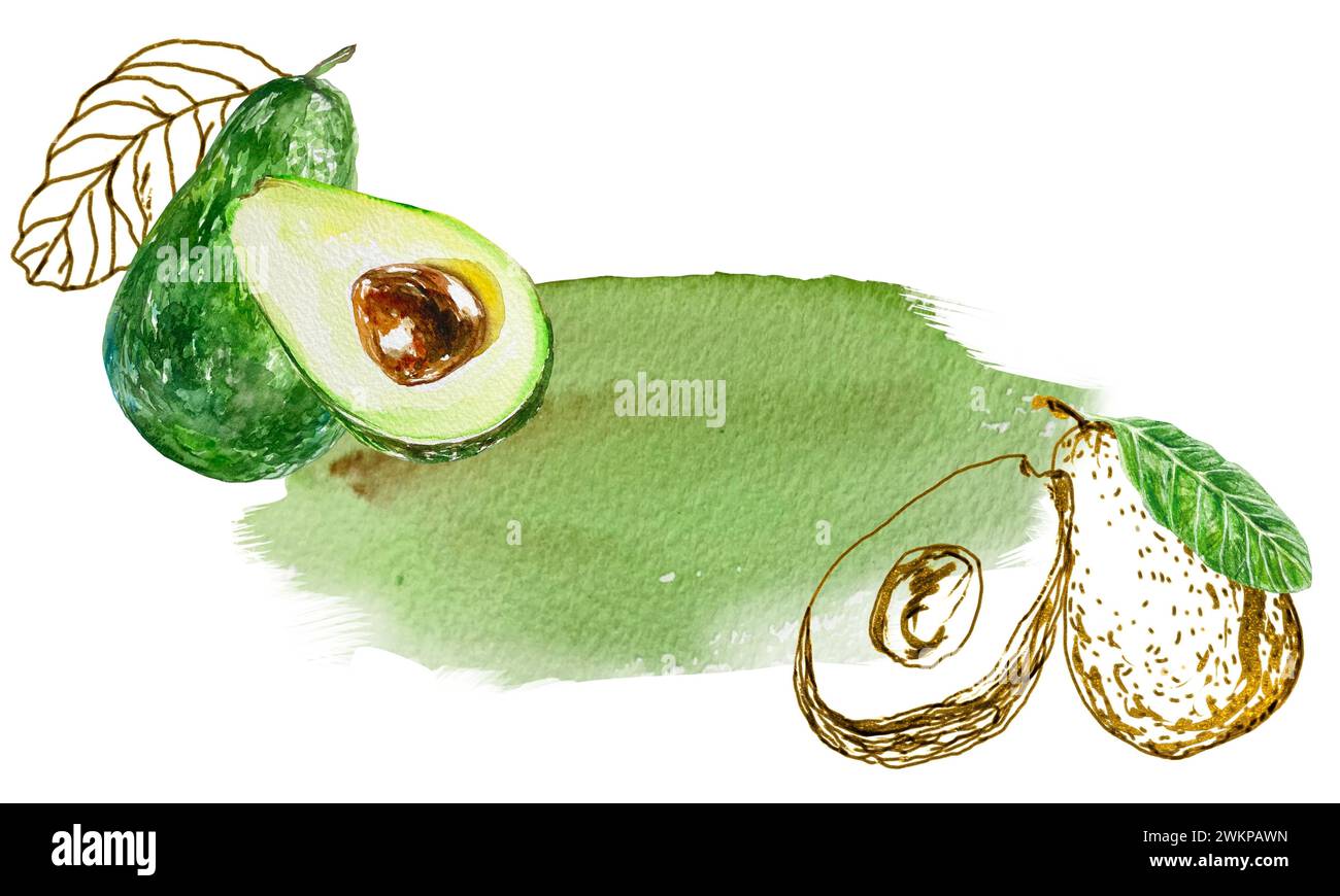 Avocado watercolor, gold graphics. Label template with watercolor ...