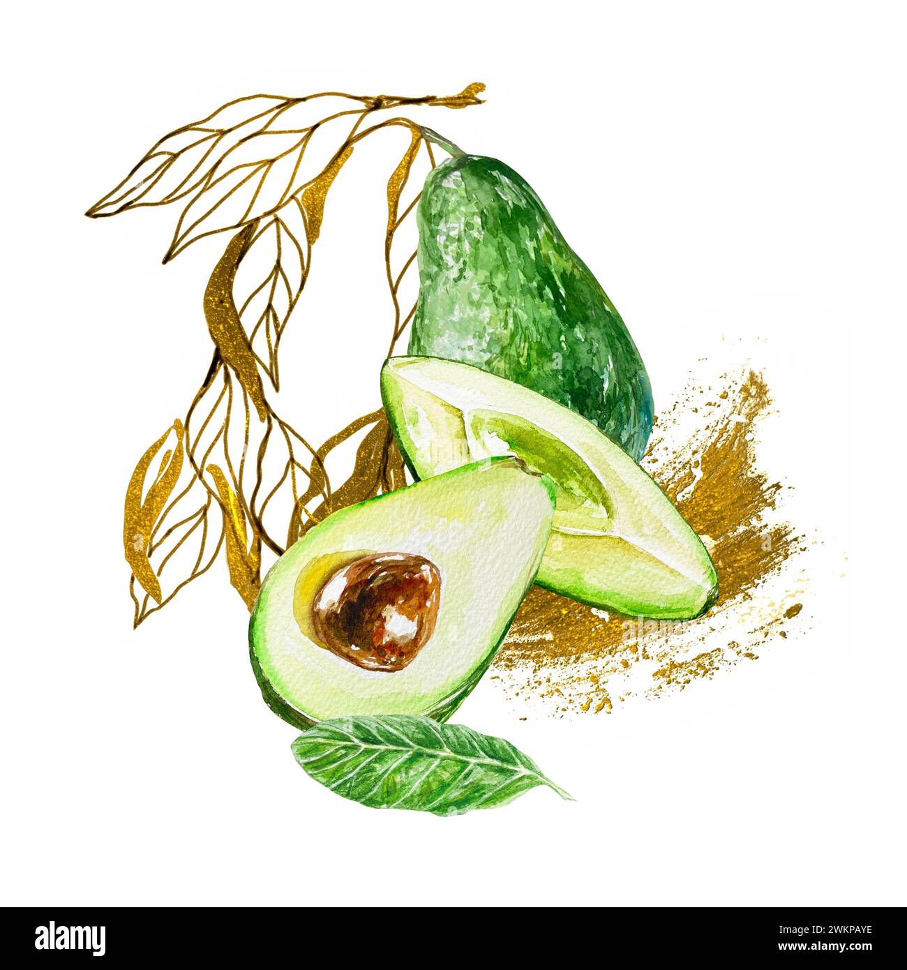 Avocado watercolor fruit, gold graphics leaves. Illustration isolated ...
