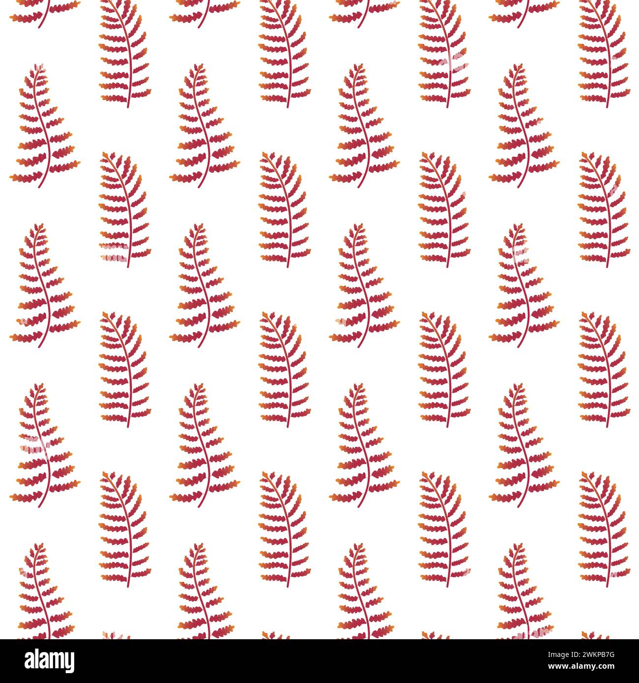 Fern leaves. Seamless pattern. Illustration isolated on white ...