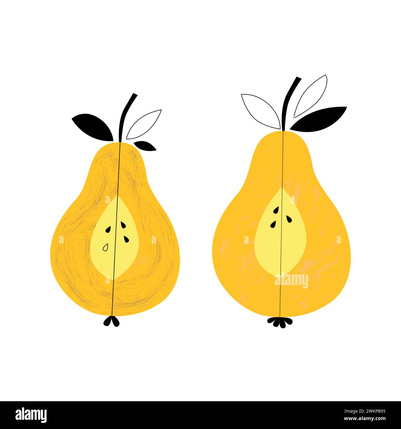 Stylized yellow pear in section. Cross section of a cut pear, isolated ...