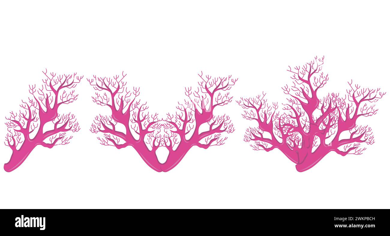 Coral icons set. Border for your design. Vector illustration isolated ...