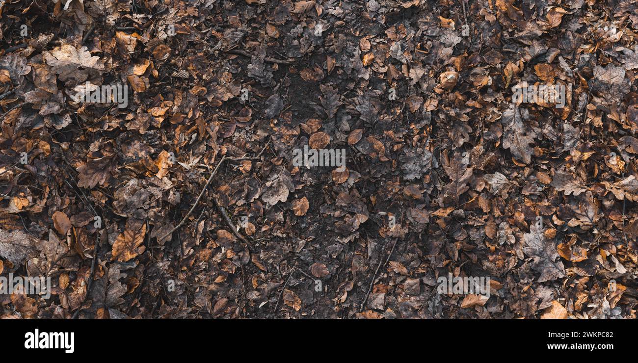 Professional extreme high resolution texture hi-res stock photography ...