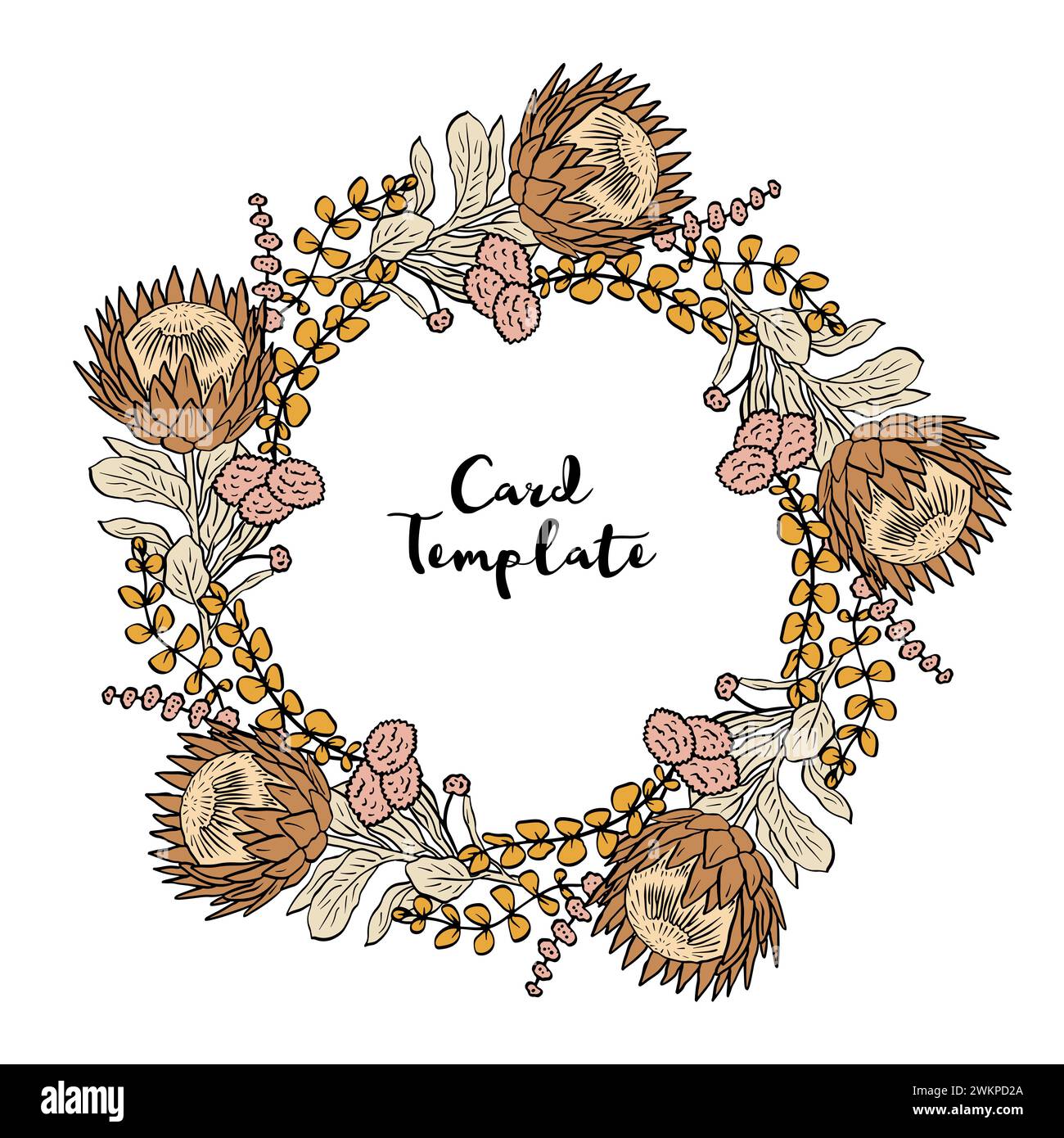 Hand drawn colorful line art tropical protea flower round frame Stock ...