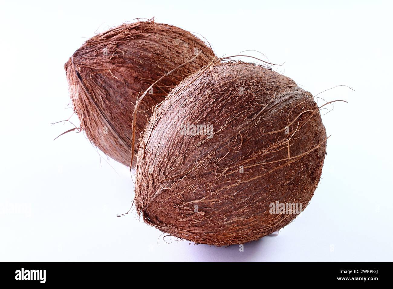 Coconut isolated white background Stock Photo - Alamy