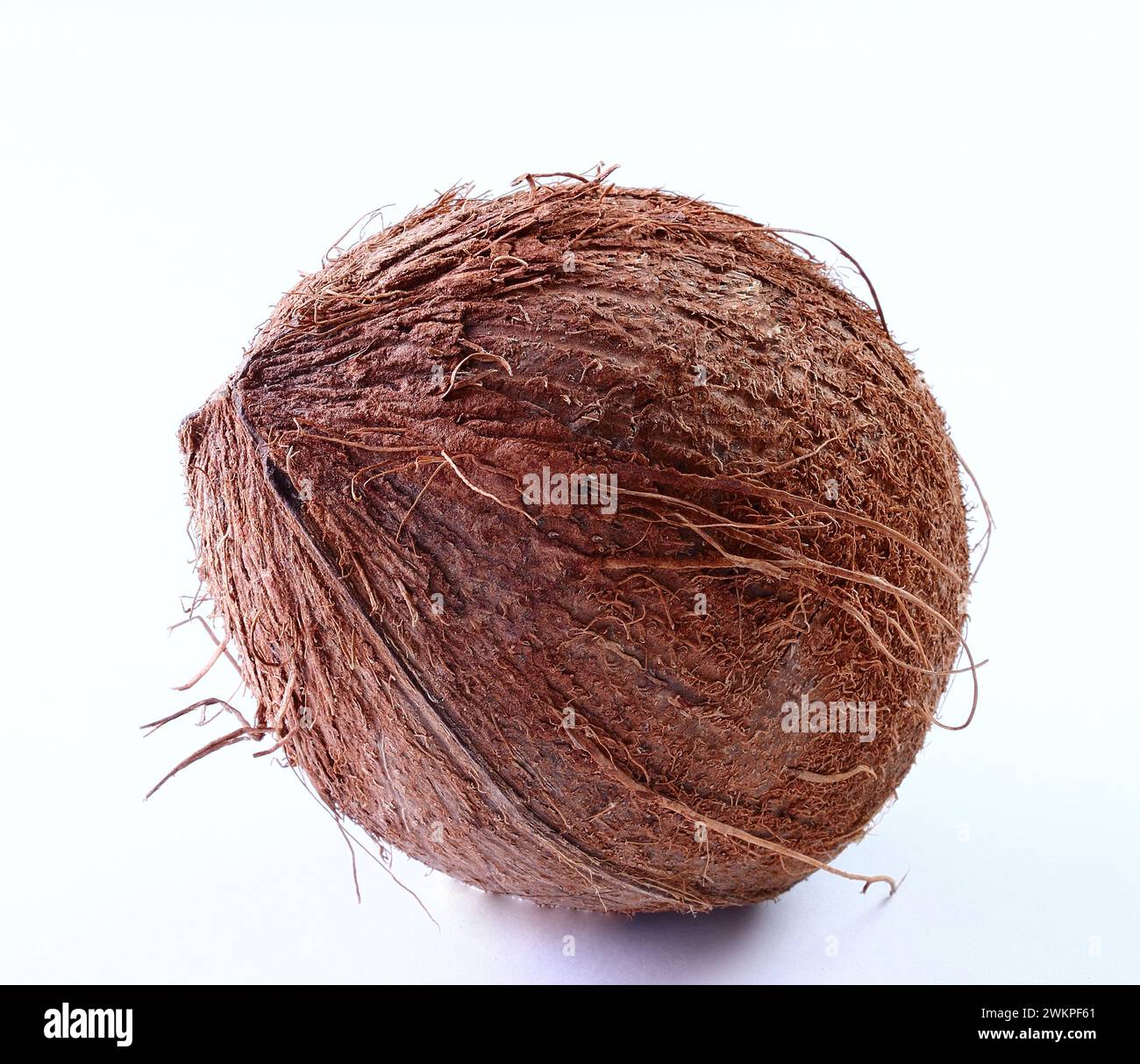 Coconut isolated white background Stock Photo - Alamy