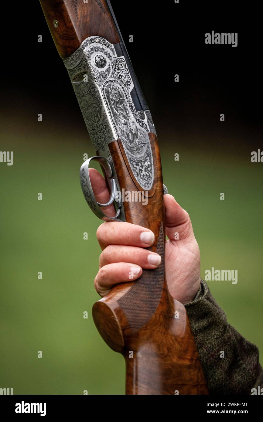 Browning shotgun hi-res stock photography and images - Alamy