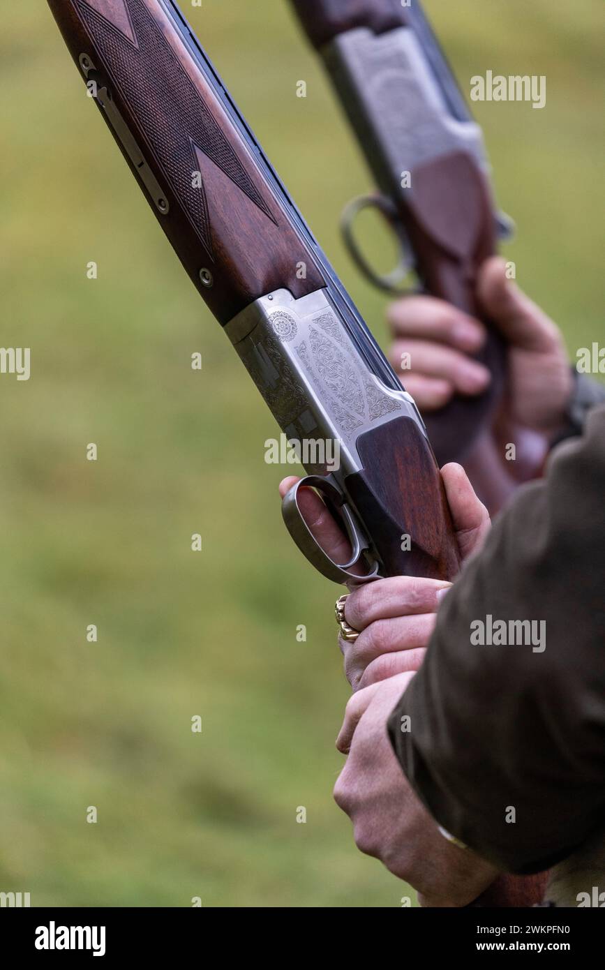 Shotgun shooting, field sports UK Stock Photo - Alamy
