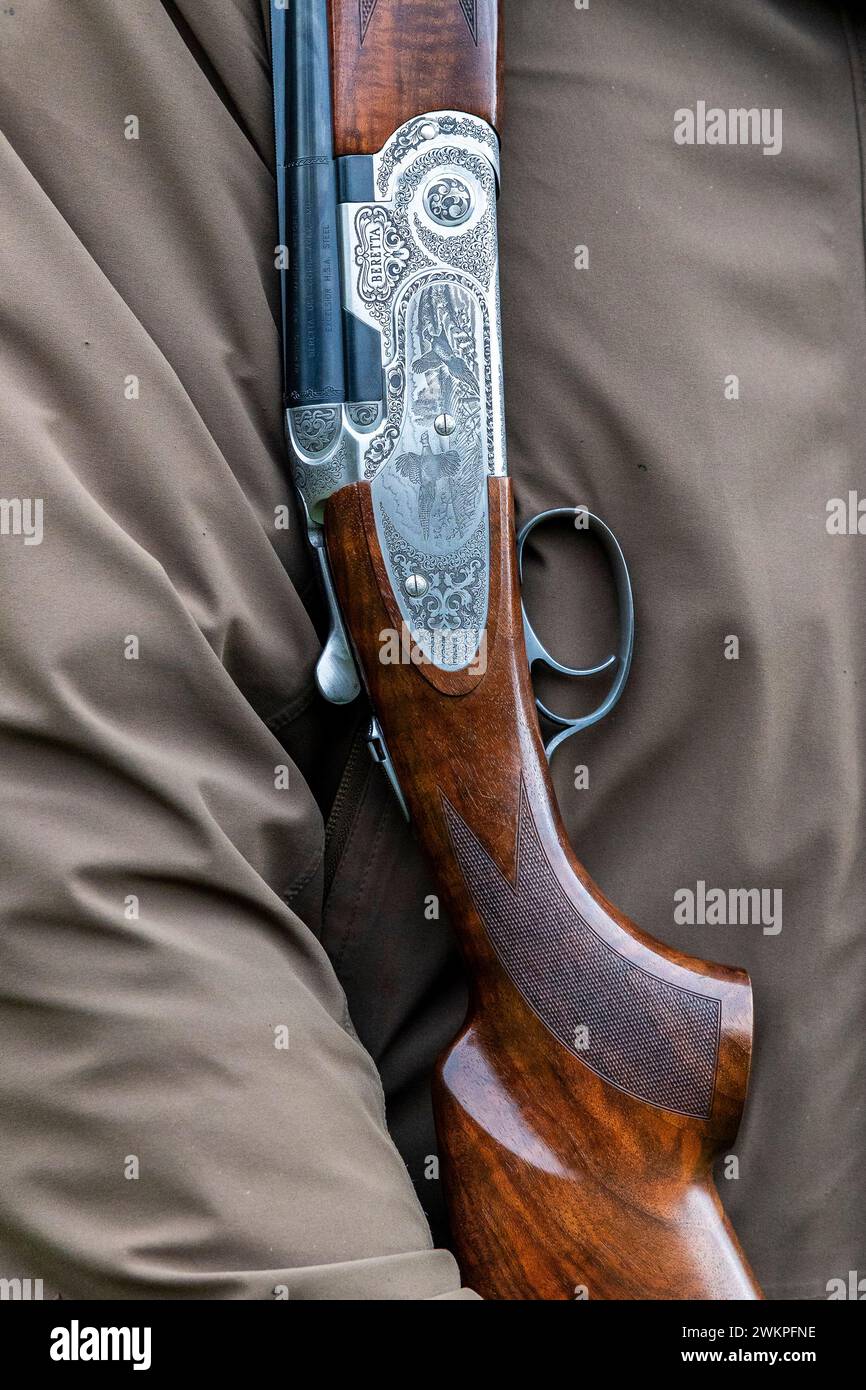 Shotgun shooting, field sports UK Stock Photo - Alamy
