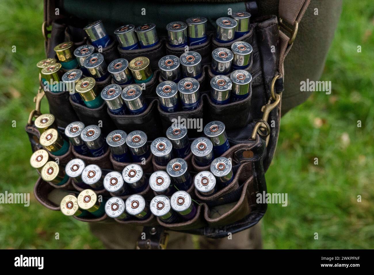 Shotgun shooting, field sports UK Stock Photo - Alamy