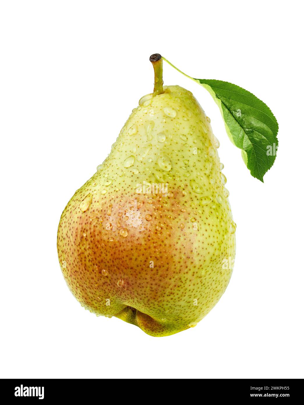 Pear tree yellow fresh Cut Out Stock Images & Pictures - Alamy