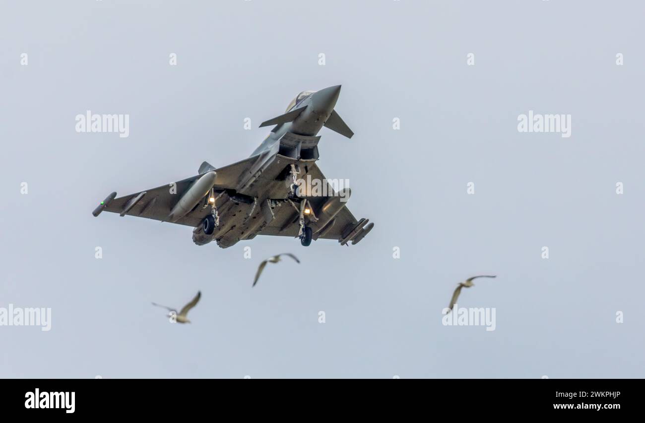 Raf typhoon flight hi-res stock photography and images - Alamy