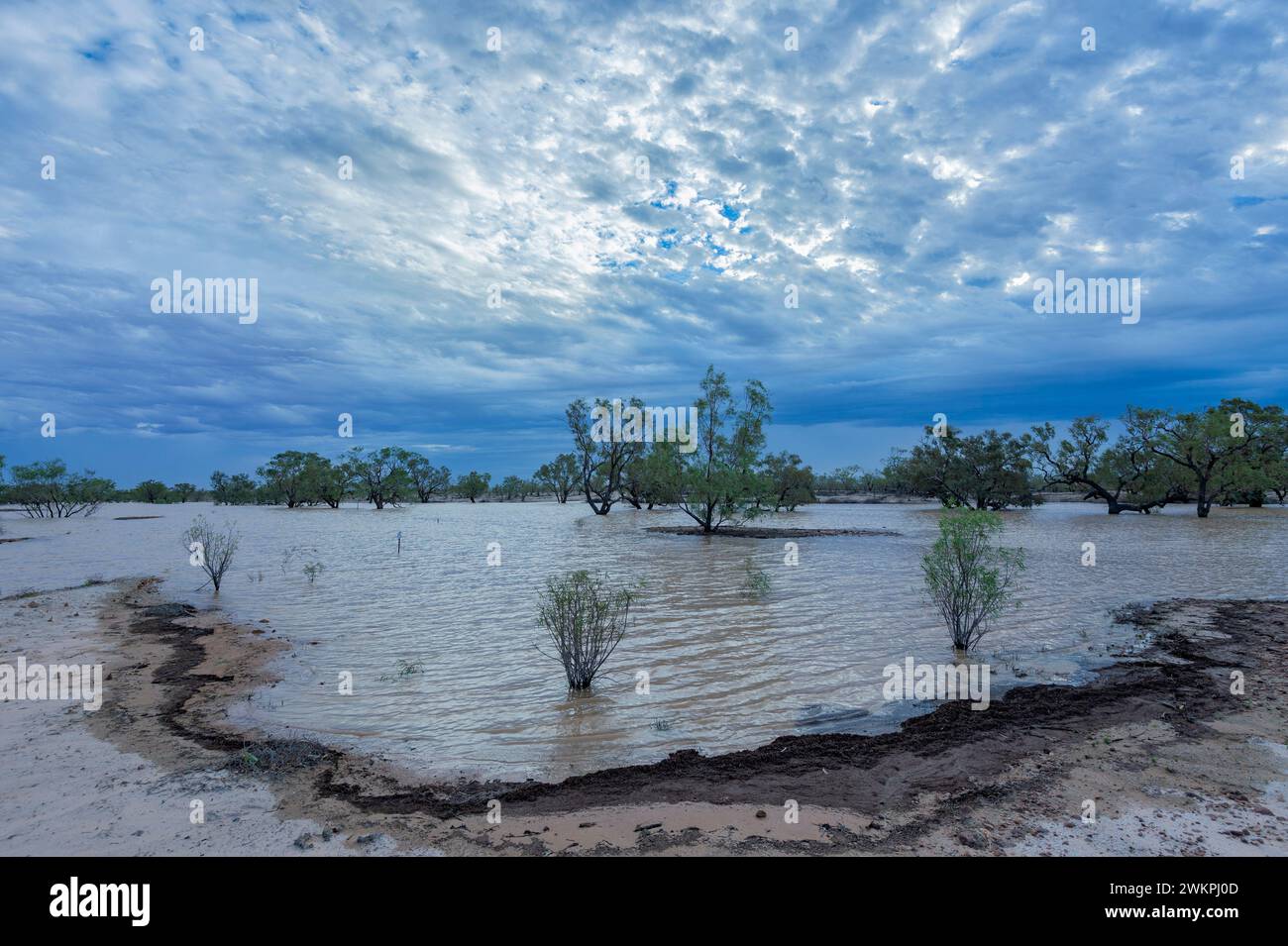 Cooper Creek in flood in the Australian Outback, Innamincka, Queensland, QLD, Australia Stock ...