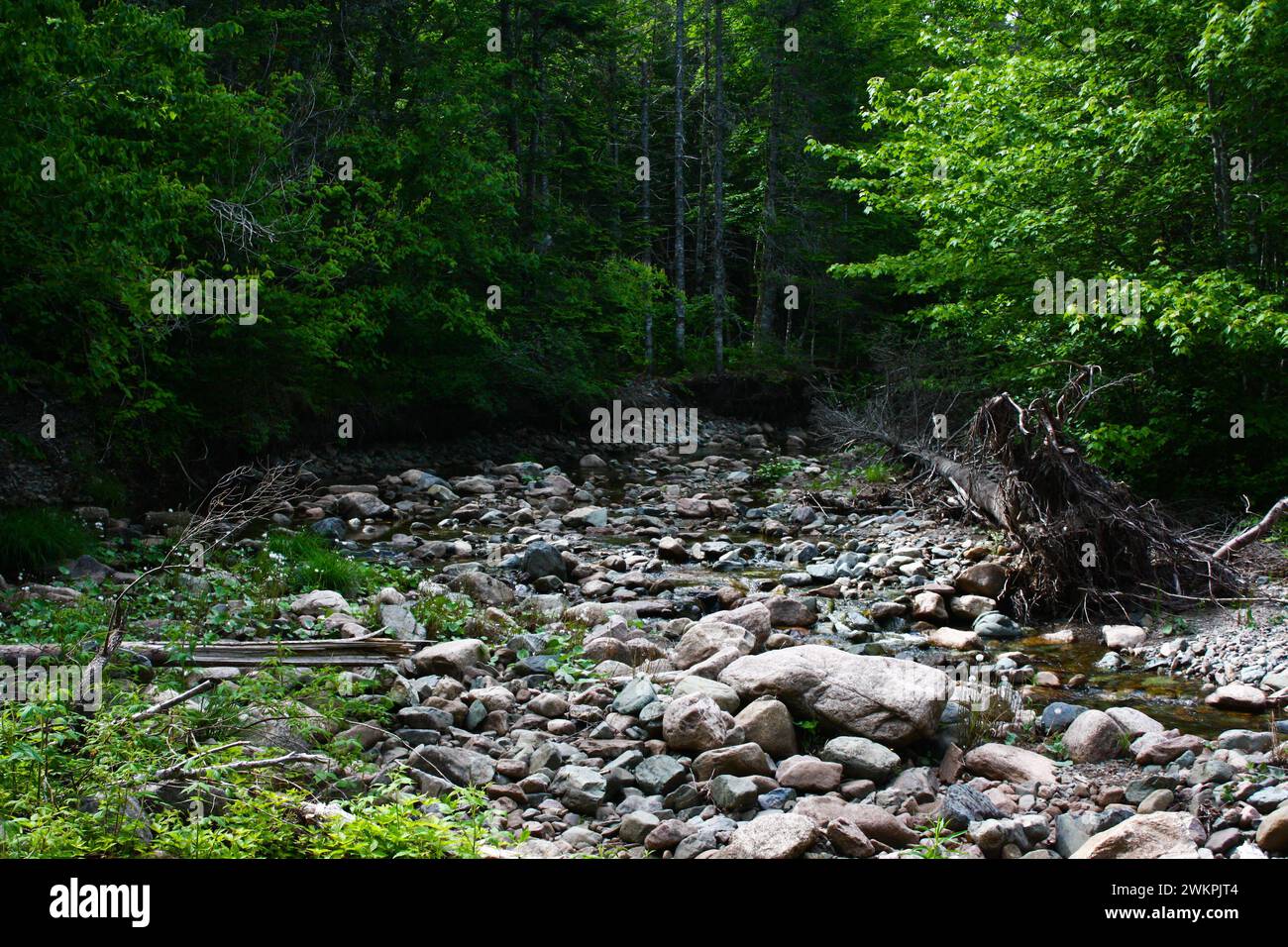 Tranquil river setting hi-res stock photography and images - Alamy