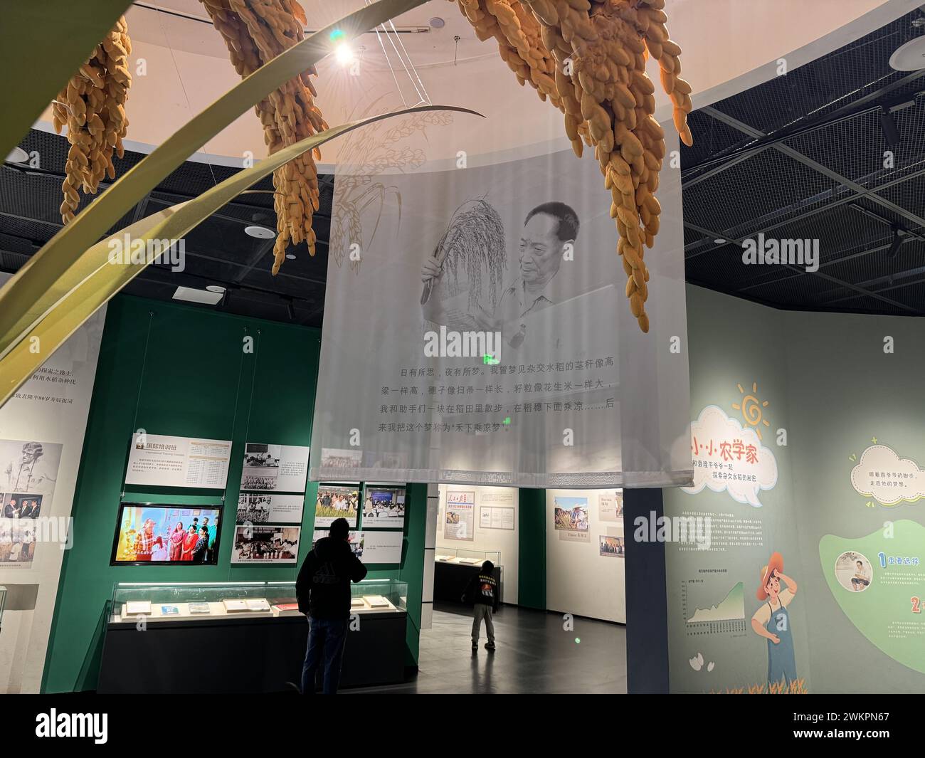 Visit the Longping Rice Museum in Changsha City, south China's Hunan ...