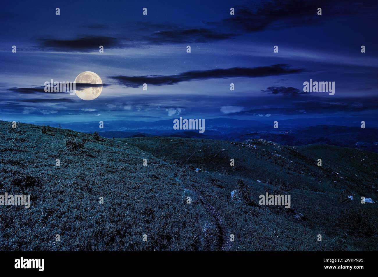 summer landscape at night. path through hillside meadow on the mountain ...