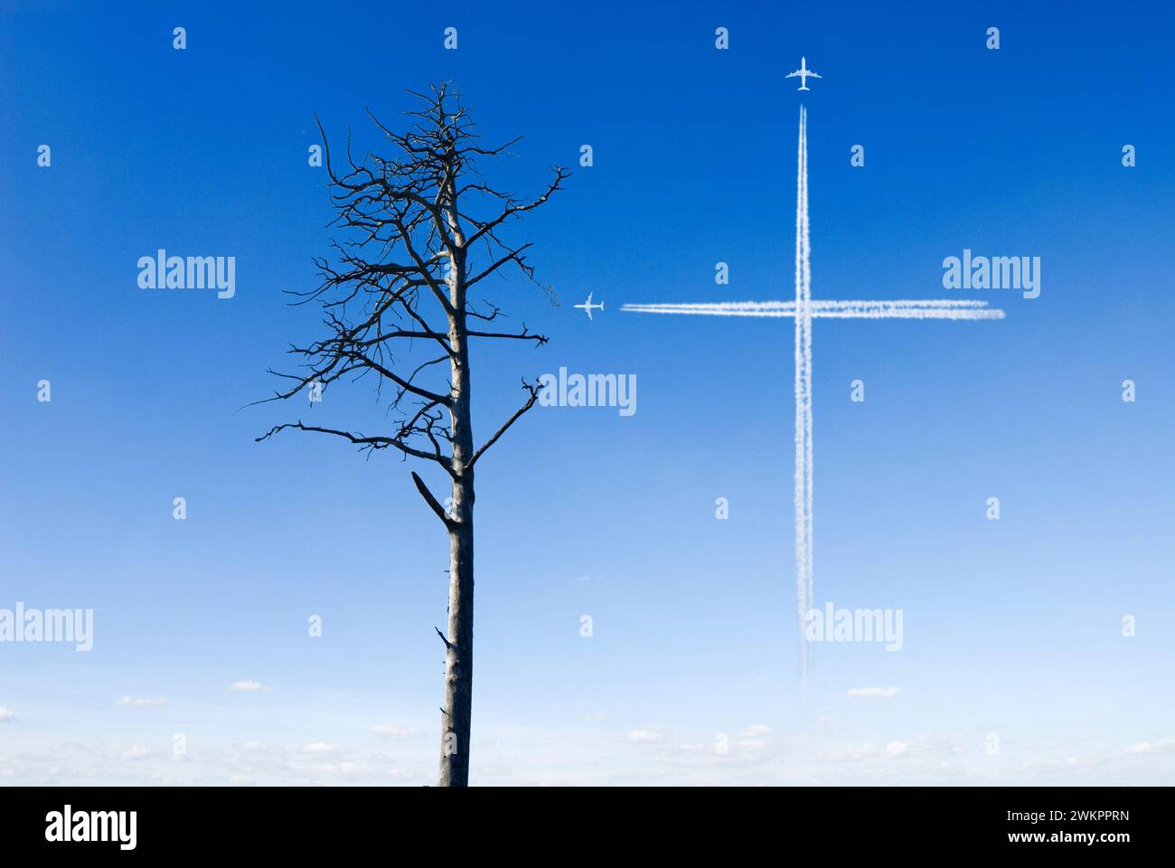 dead pine tree, condensation trails in shape of a cross, in blue sky as ...
