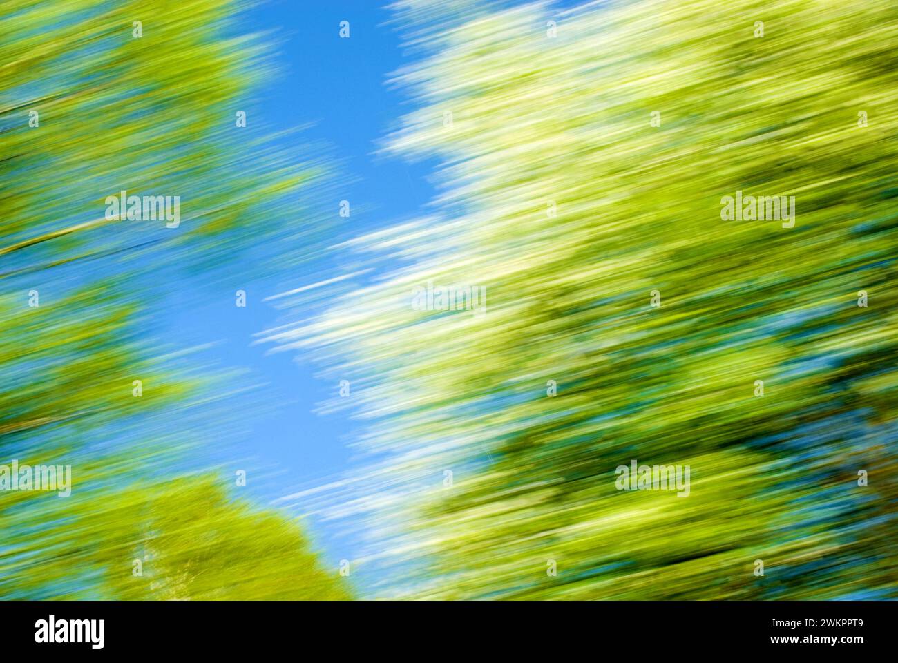 Blurred trees movement from car hi-res stock photography and images - Alamy